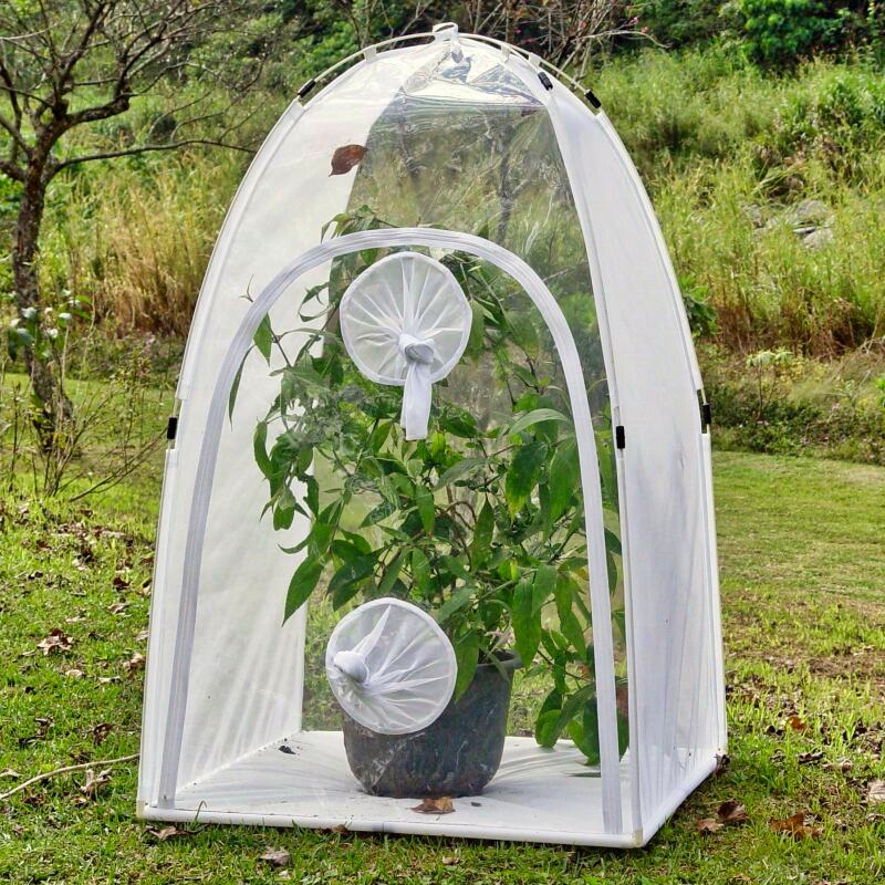 BugDorm-2F400 Insect Rearing Cage | BugDorm Store