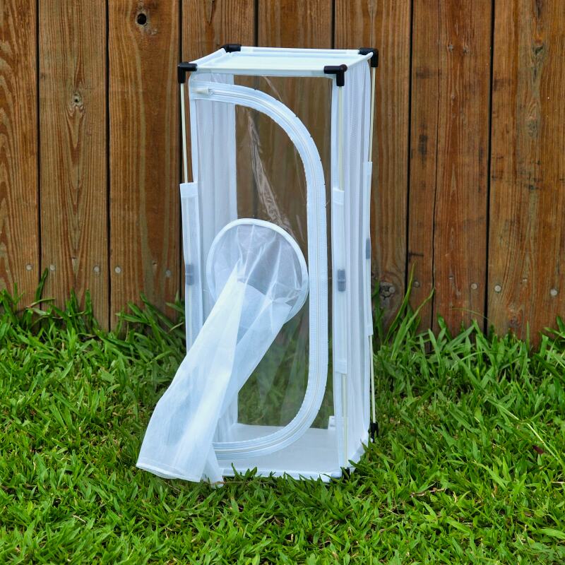 BugDorm-4F2260 Insect Rearing Cage | BugDorm Store