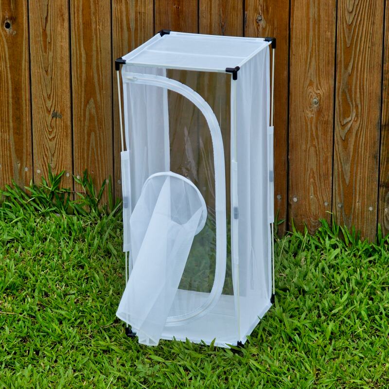 BugDorm-4S3074 Insect Rearing Cage | BugDorm Store