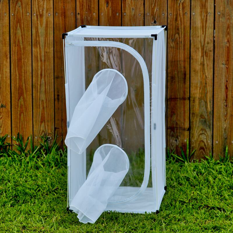 BugDorm-4S4590 Insect Rearing Cage | BugDorm Store