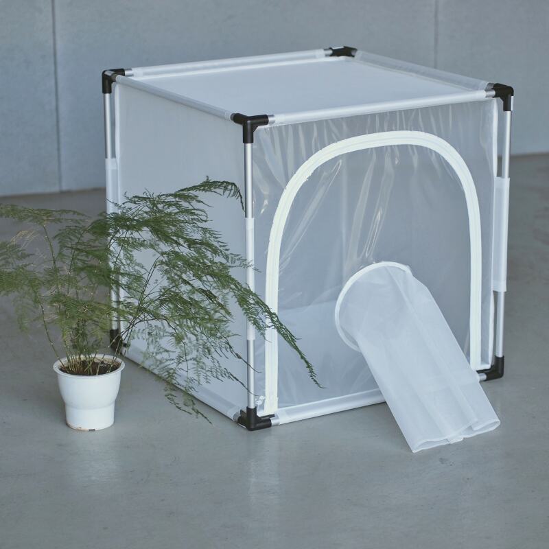 BugDorm-6S610 Insect Rearing Cage | BugDorm Store