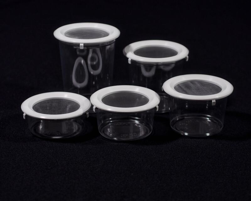 Pint-sized Insect Pot with Snap-on Lid (360 ml, mesh screen) [pack of 6 ...