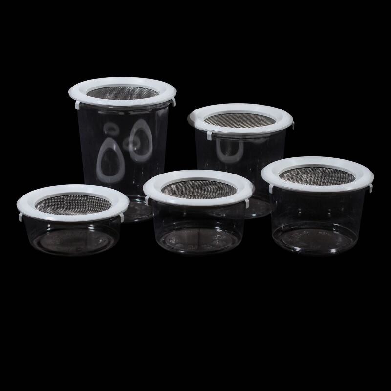 Pint-sized Insect Pot with Snap-on Lid (360 ml, wire screen) [pack of 6 ...