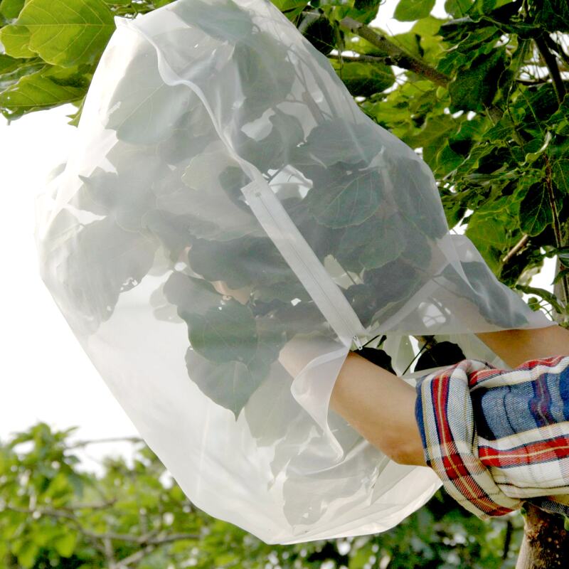 Insect Rearing Bag (L100 x W70 cm) [pack of 6] | BugDorm Store