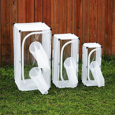 Insect Rearing | BugDorm Store