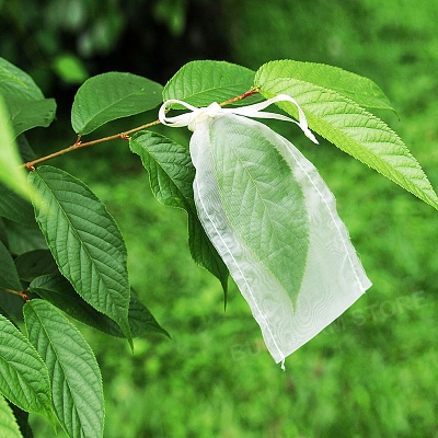 Insect Rearing | BugDorm Store