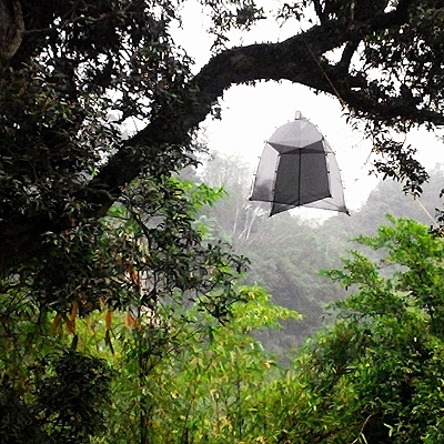 BugDorm Store — Insect Trapping & Rearing Tools | BugDorm Store