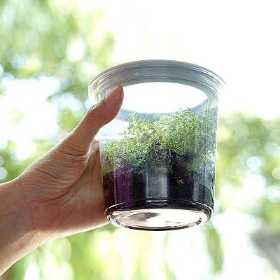 Insect Rearing | BugDorm Store