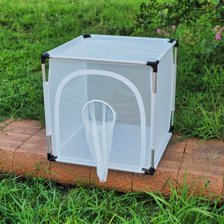 BugDorm-6M610 Insect Rearing Cage | BugDorm Store