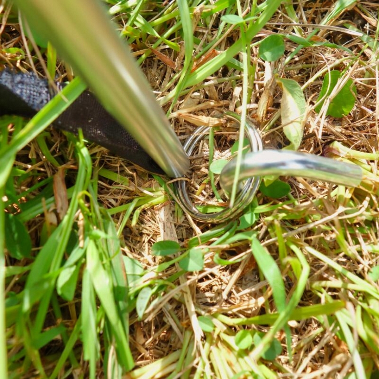 ez-Malaise Trap — Townes-style Modular Trap | BugDorm Store