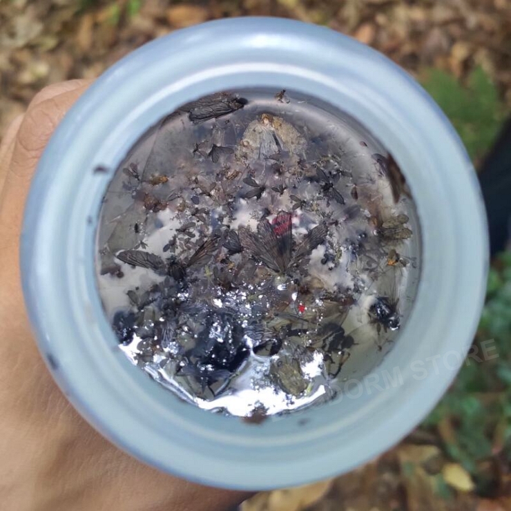 ez-Malaise Trap — Townes-style Modular Trap | BugDorm Store