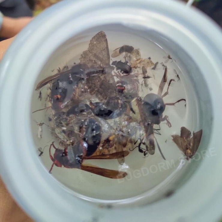 SLAM Trap II — Sea, Land & Air Malaise Trap | BugDorm Store