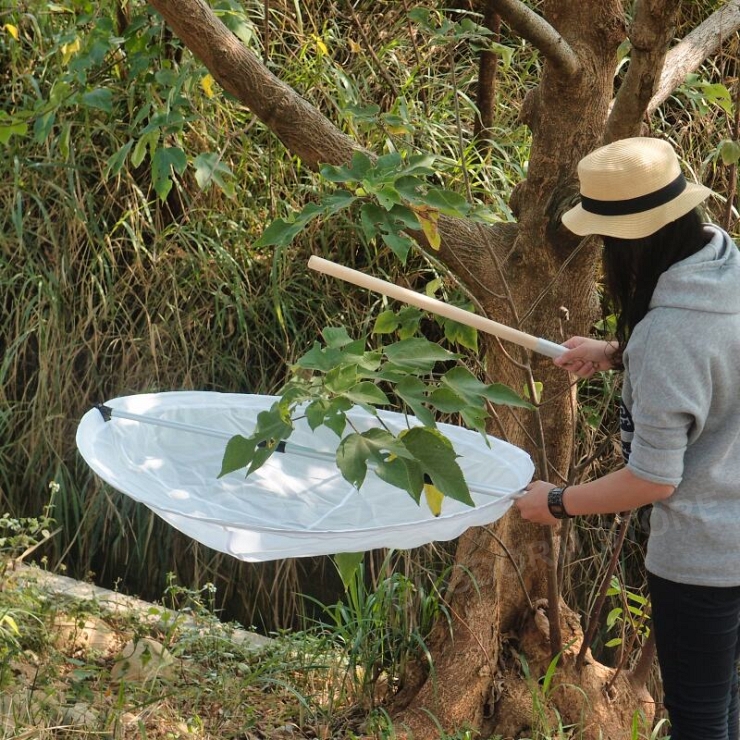 Foldable Beating Tray (Ø90 cm) | BugDorm Store