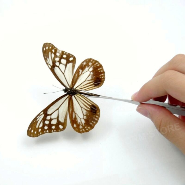 Featherweight Forceps | BugDorm Store