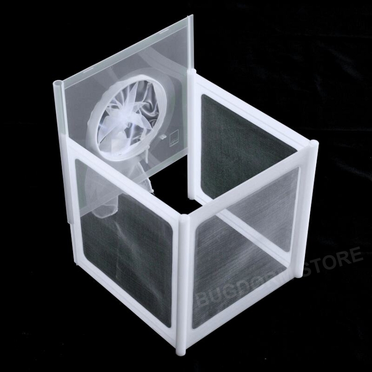 BugDorm-1 Insect Rearing Cage | BugDorm Store