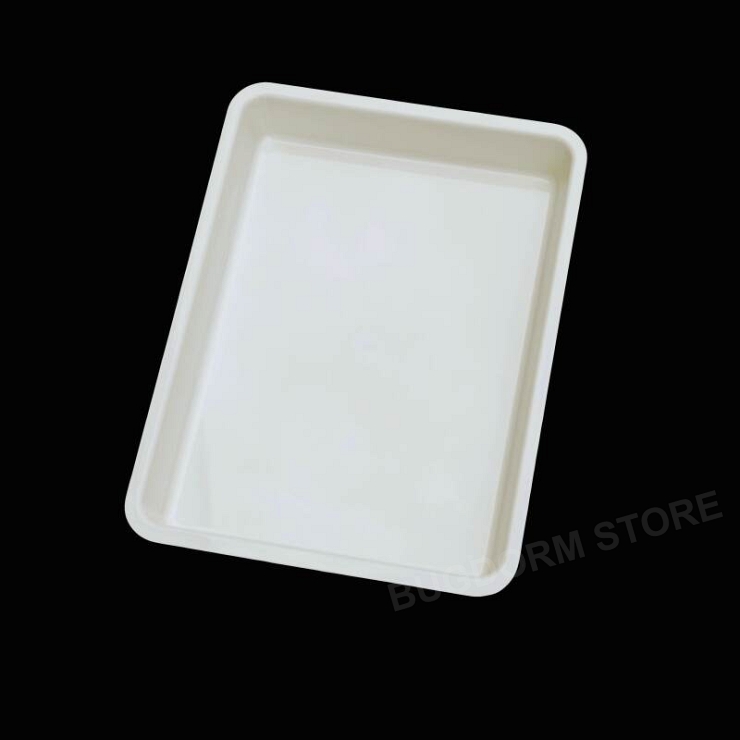 Larval Tray [pack of 6] | BugDorm Store
